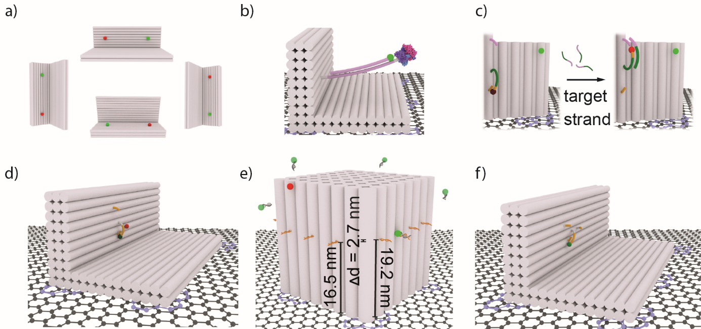 2D materials – Group of Philip Tinnefeld at LMU Munich